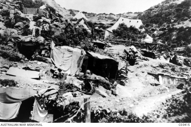 Some of the dugouts occupied by personnel of the Anzac Corps ...