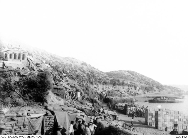 The crowded slopes and foreshore of Anzac Cove, viewed from near Ari ...