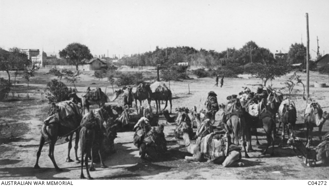 A camel convoy conveying petrol from Enzeil to Kasvin. | Australian War ...
