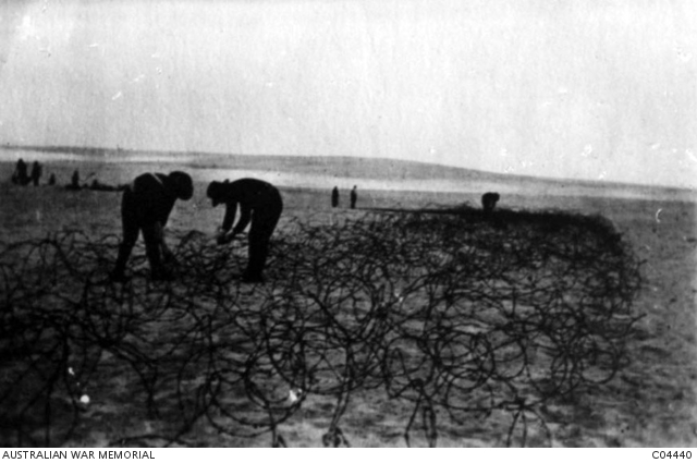 The 5th Field Company Engineers putting down low wire entanglements in ...