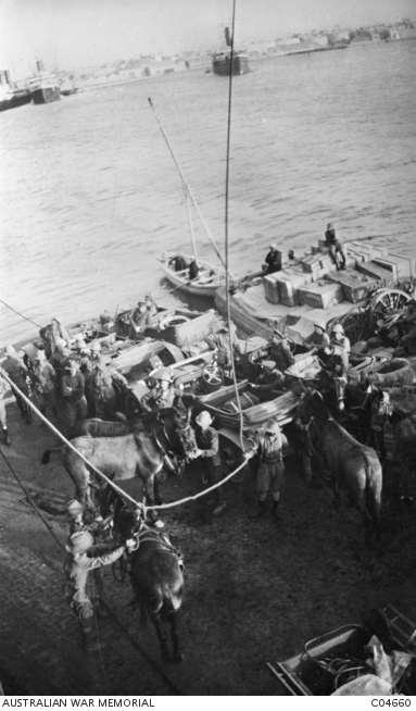 Placing cars and mules aboard the Minnewaska at Alexandria, before she ...