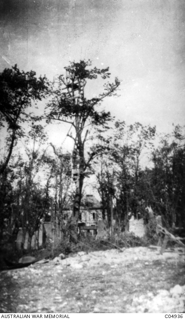 Enemy observation post in the tree near Cappy. | Australian War Memorial