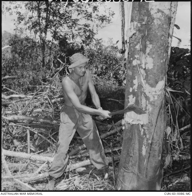 In the process of felling a tree is 1/4428 Sapper Bruce H Best, aged 22 ...