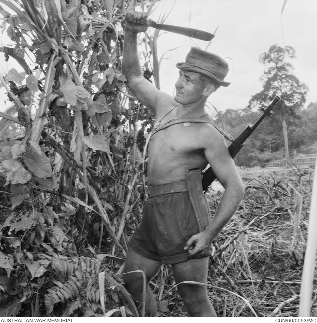 Vigorously clearing bamboo and jungle creepers with his machete is 3/ ...