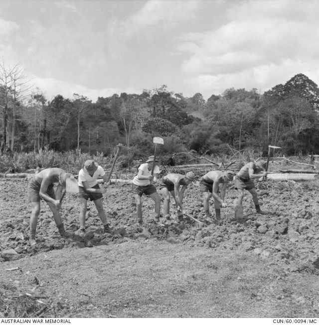 A line of six unidentified Sappers of 1st Field Troop, Royal Australian ...