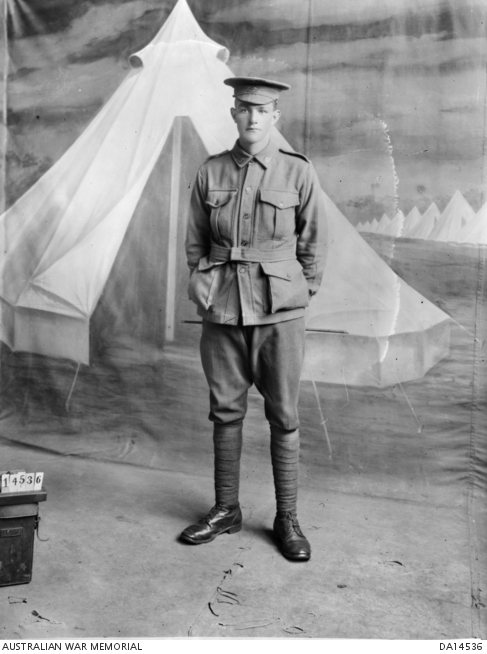 Darge Photographic Company collection of negatives | Australian War ...