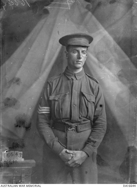 Darge Photographic Company collection of negatives | Australian War ...