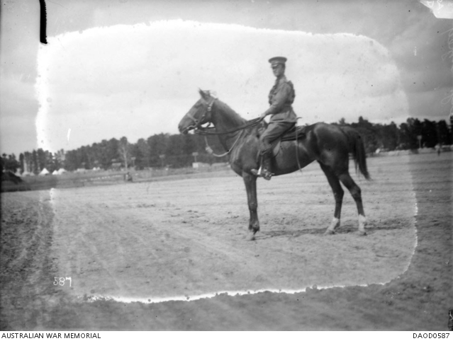 Darge Photographic Company collection of negatives | Australian War ...