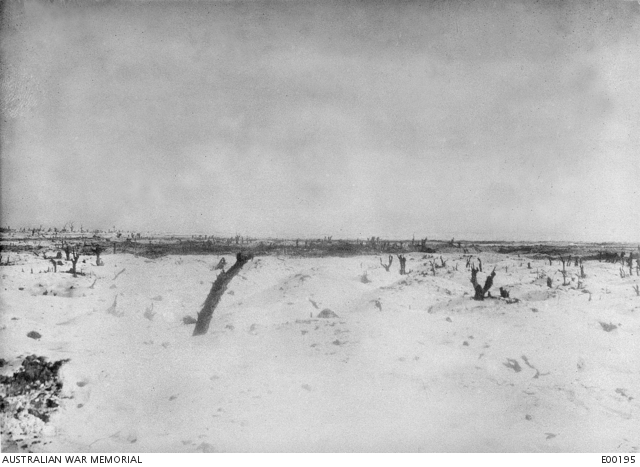 The battlefield of Pozieres, in France, west of the village, south of ...