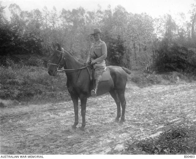 Informal portrait of General (Gen) Sir William R. Birdwood mounted on ...