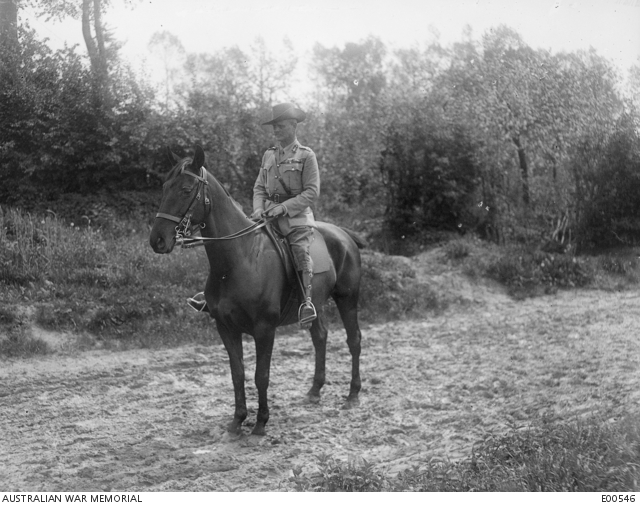 Informal portrait of Lieutenant General Sir William R. Birdwood on his ...