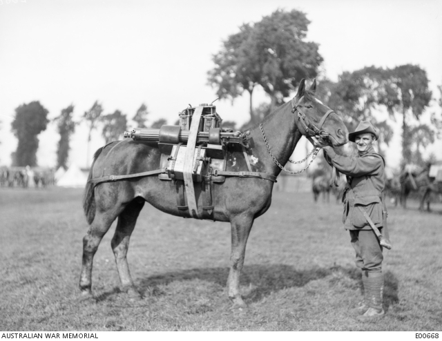 An Australian soldier, 244 Driver F W Stephenson, 2nd Australian ...