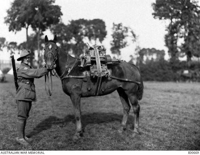 An Australian soldier, 244 Driver F W Stephenson, 2nd Australian ...