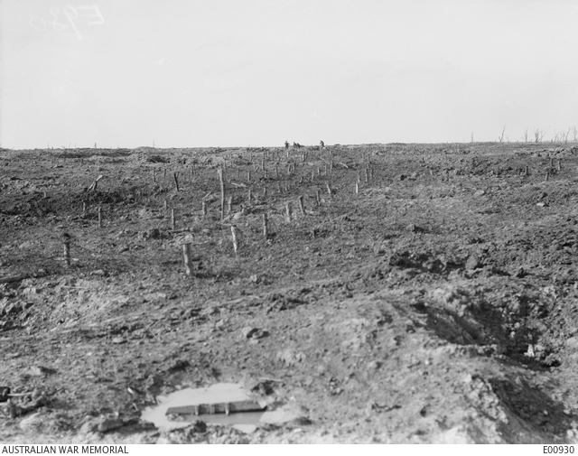 German barbed wire defences near Retaliation Farm, in the Ypres sector ...