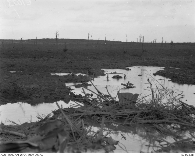 Looking from a shell hole bog at Retaliation Farm across Romulus and ...
