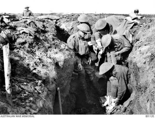 An officer of the 30th Battalion in the trenches near Zonnebeke, in the ...