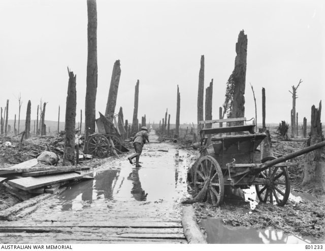 The debris lined road through Chateau Wood to Westhoek Ridge, in the ...