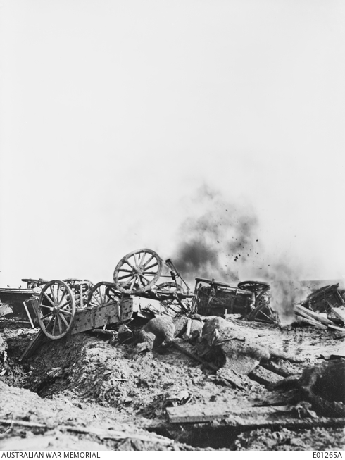 A track across the Westhoek Ridge near Zonnebeke in the Ypres sector ...