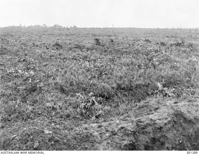 View of the southern shoulder of Messines Ridge showing Pine Avenue ...