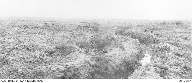 View of the southern shoulder of Messines Ridge showing Pine Avenue ...
