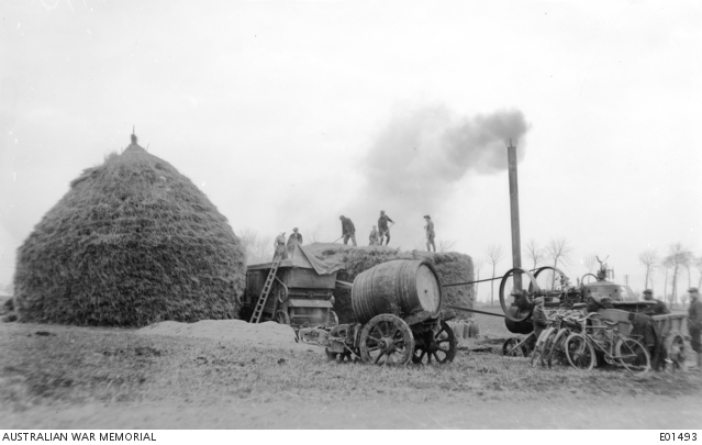 Australians helping Flemish threshers in the rest areas near ...