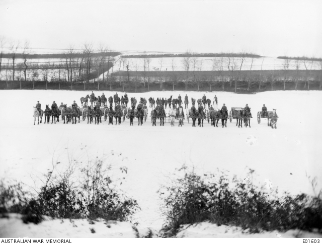 Group portrait of the transport of the 54th Battalion on parade at ...