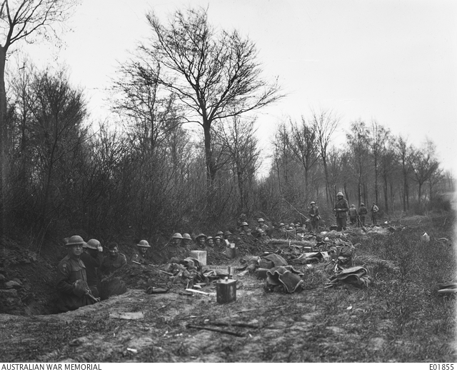 'Digging in' on the border of Bresle Wood near Lavieville. The 13th ...