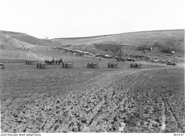 Wagon lines of the 7th Field Artillery Brigade, in the valley between ...