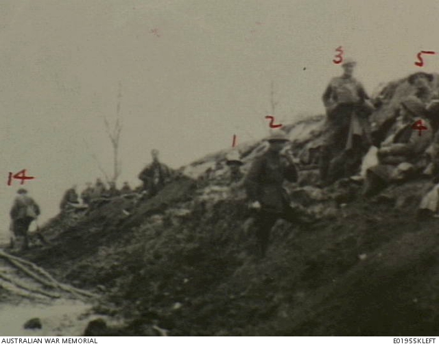 Left hand side of reference image only to provide position detail for ...