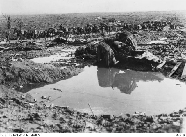A 1st Divisional Ammunition Supply Column carrying 18 pounder shells ...