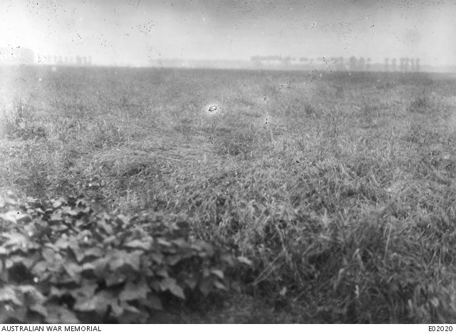 A wheatfield in France, beaten down by heavy rain. | Australian War ...