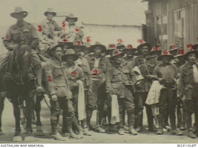 Left hand side of reference image only to provide position detail for ...