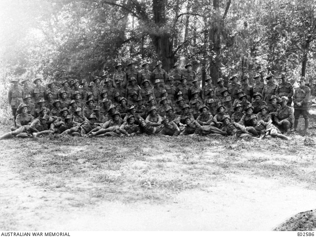 Group portrait of the Non-commissioned Officers of the 22nd Battalion ...