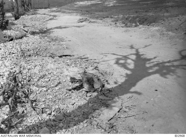 A gruesome sight on a road near Villers-Bretonneux, showing the remains ...