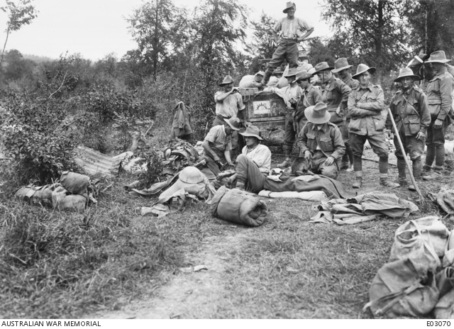 Transport of the 3rd Division preparing to leave camp at Gressaire Wood ...