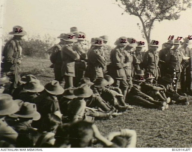 Left hand side of reference image only to provide position detail for ...