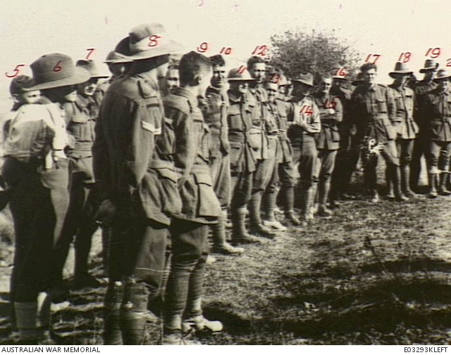 Left hand side of reference image only to provide position detail for ...