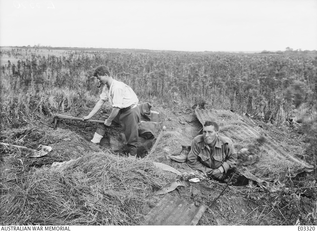 Two members of the 31st Battalion digging in the advanced front line ...