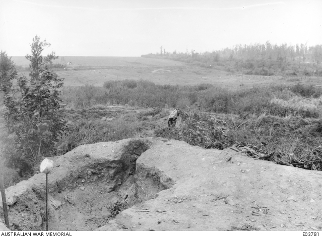 A view looking towards Anvil Wood from an enemy machine gun position on ...