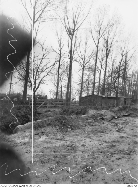 A German observation post in a tree near Fromelles. This observation ...