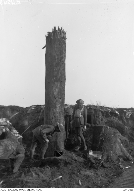 Two unidentified Australian officers examining a tree trunk which was ...