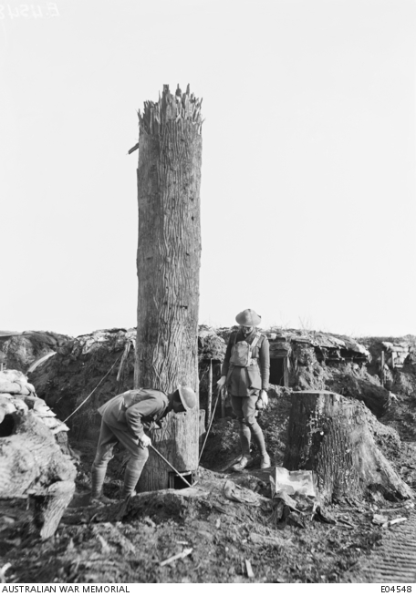Two unidentified Australian officers examining a tree trunk which was ...