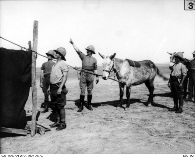 Several unidentified men and an officer engaged in moving a stubborn ...