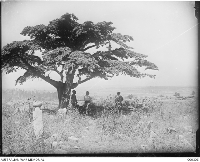Achi Baba (the highest peak in the far distance) from the French lines ...
