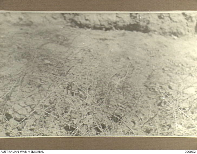 Gallipoli Peninsula, Turkey. October 1915. A mass of Turkish barbed ...