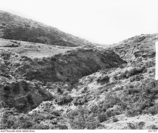 Clarke's Gully (Valley) taken from the 4.7 inch Naval gun position ...