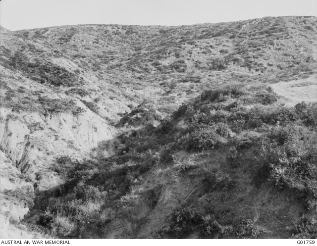 Looking east up Clarke's Gully (Valley), the ridge in the centre is on ...