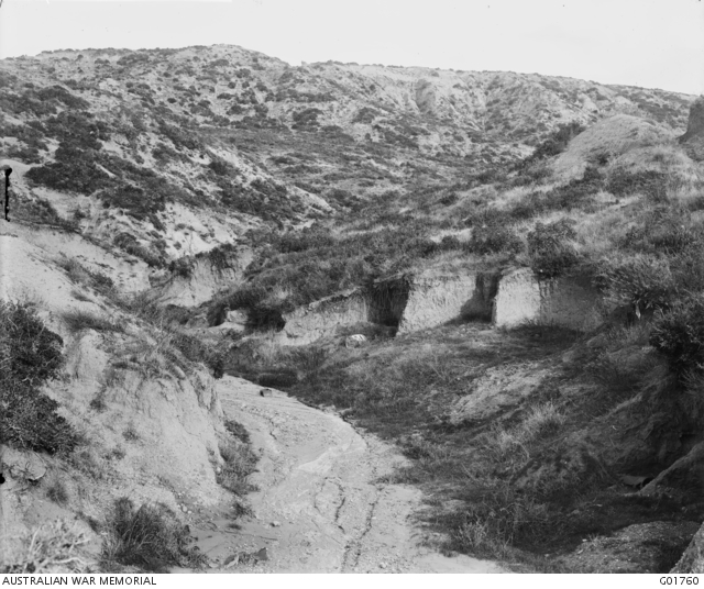 The entrance to Victoria Gully looking east. The ridge on the skyline ...