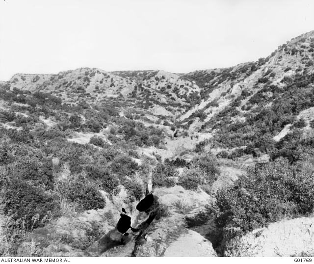 The head of Monash Gully (Valley) taken from the spot where General ...