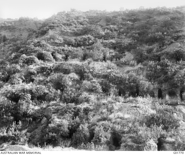 Tiers of dugouts in the side of Shrapnel Valley (Gully) which were used ...